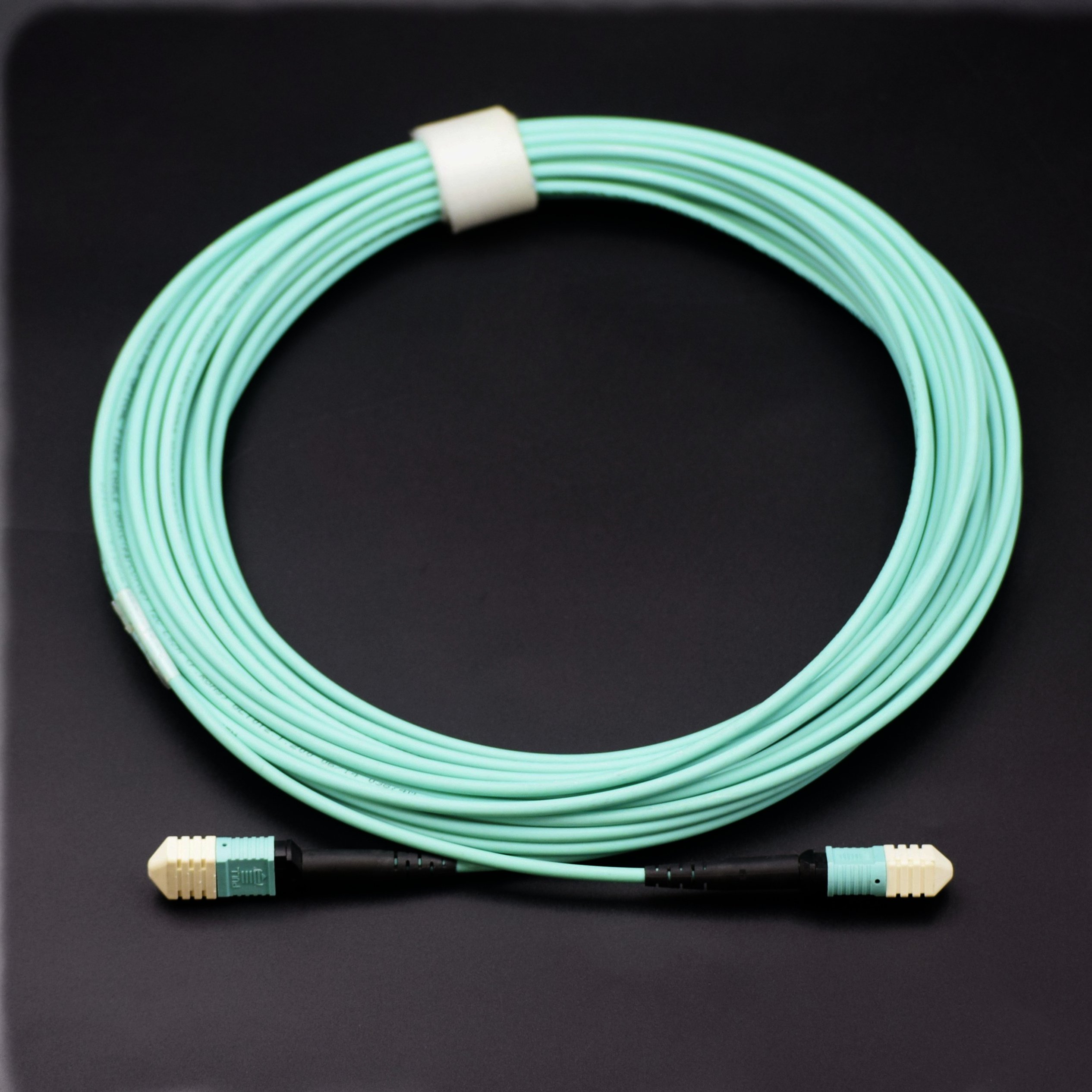 FO Cable & Assembly_SHENZHEN FASTLINK COMMUNICATION GROUP CO., LTD